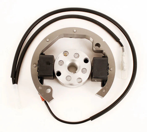 VORTEX MINI ROK IGNITION STATOR AND ROTOR – Kart Store AU